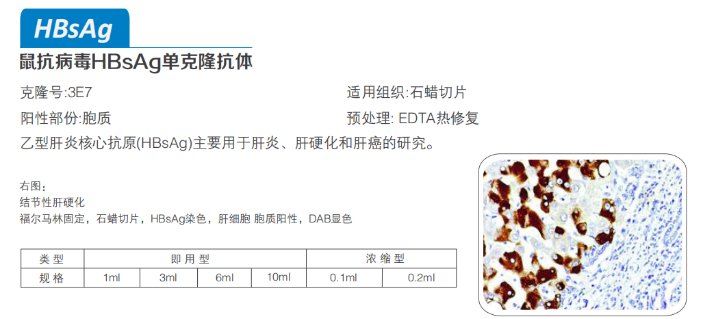 乙型肝炎病毒表面抗原(HBsAg) 抗体试剂（免疫组织化学） | 深圳达盟生物科技有限公司 | dartmon.com